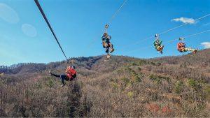 WildSide Adventure Park: Everything You Need to Know Before You Visit ...