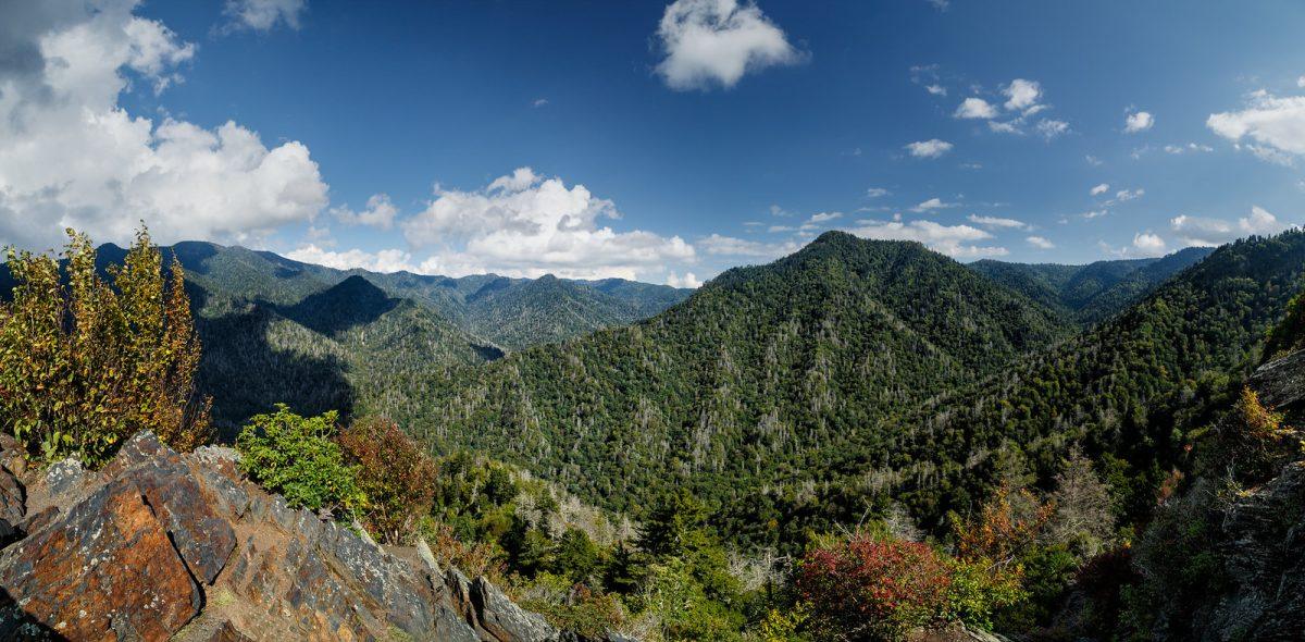 Mount LeConte: Trails, Tips, and What to Expect - Sojourn Lodging