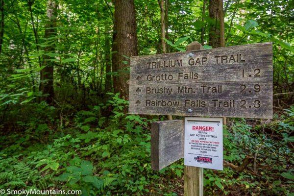 Mount LeConte: Trails, Tips, and What to Expect - Sojourn Lodging