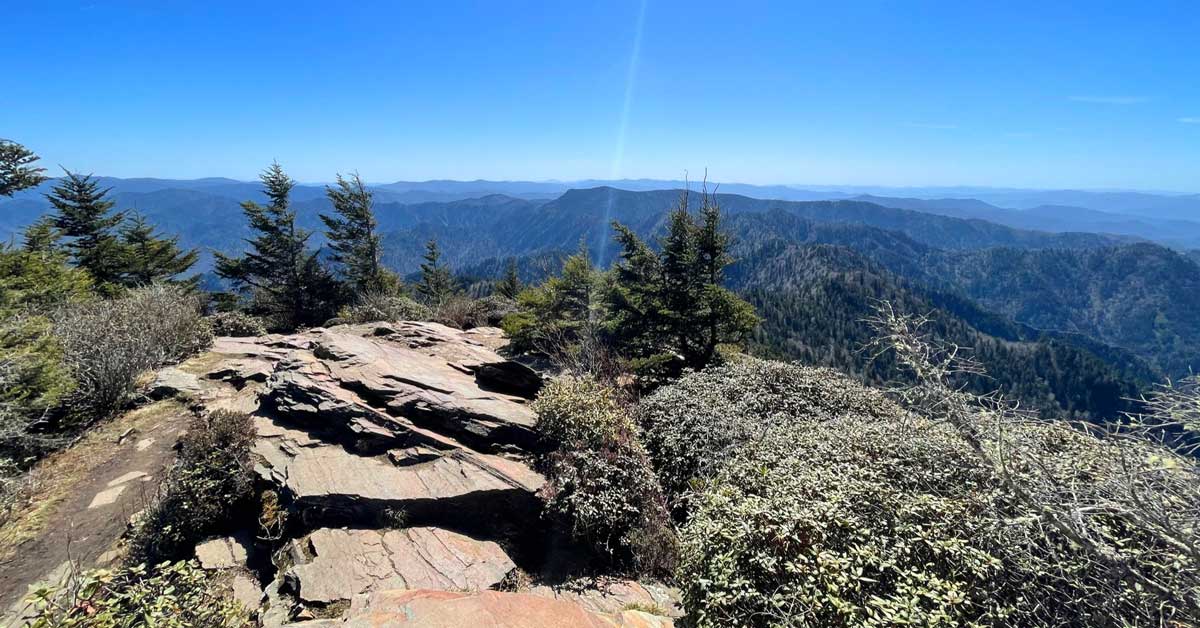 Mount LeConte: Trails, Tips, and What to Expect - Sojourn Lodging